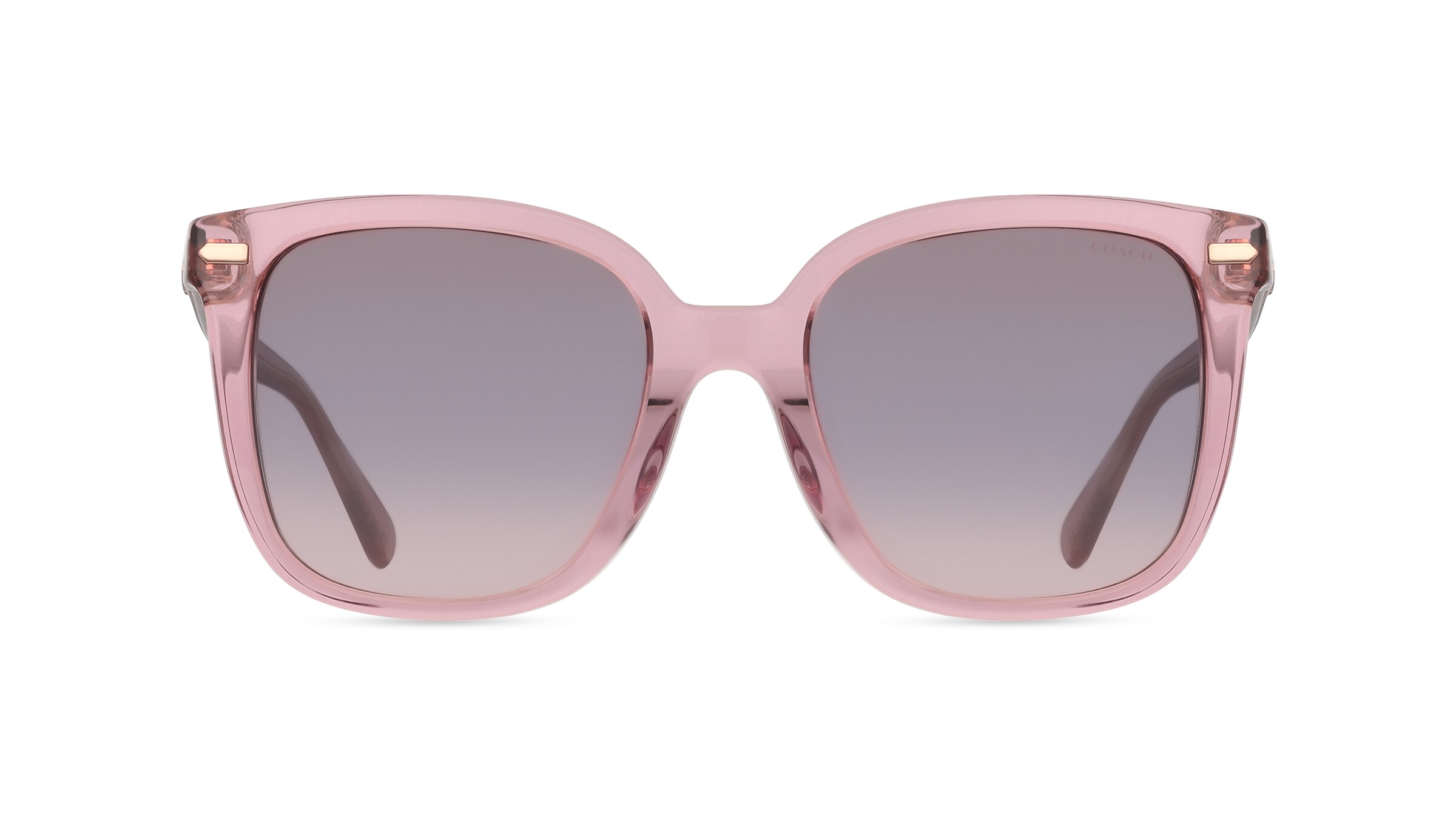 Coach HC8381U in Rose Transparent / Lila online kaufen - Fielmann